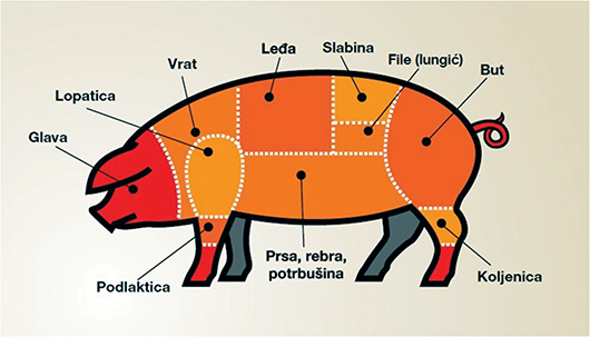 Gospodarski list - Prilog broja: Uzgoj svinja za preradu u domaće proizvode